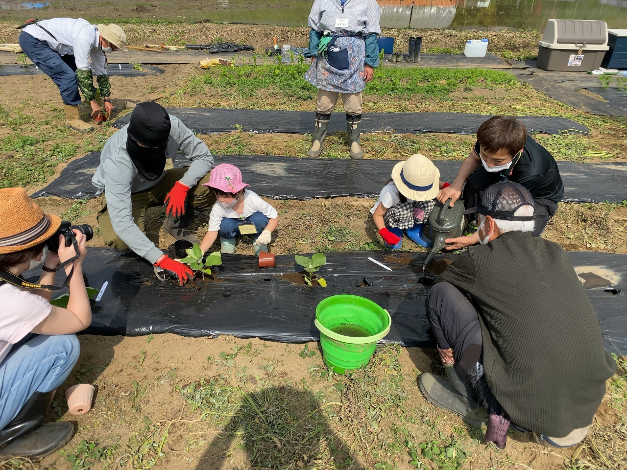 【埼玉県×農業体験】春夏野菜の植付け体験/美園ファーマーズ倶楽部 - じゃらん遊び体験