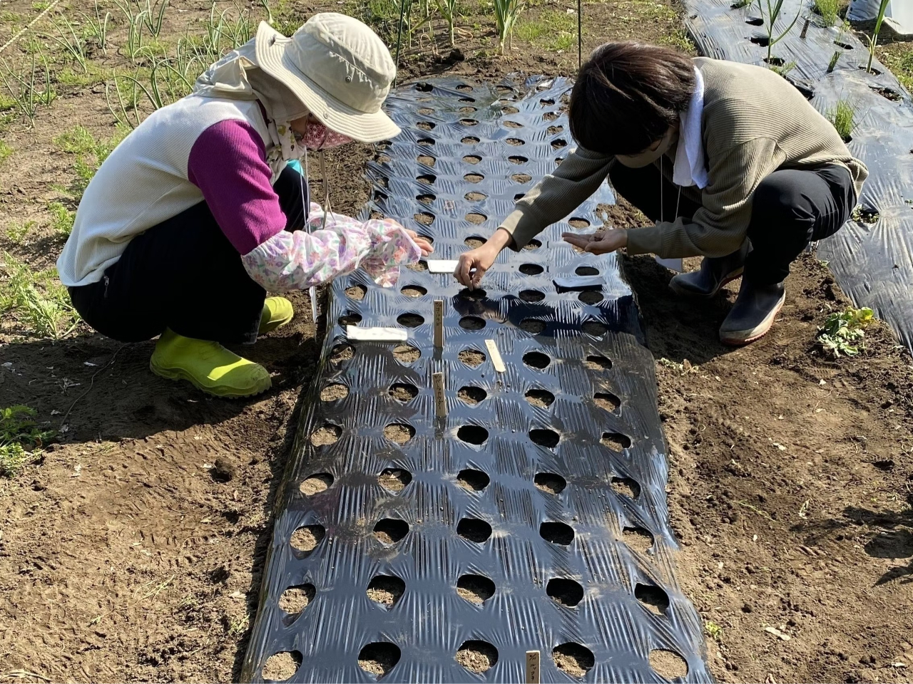 【埼玉県×農業体験】春夏野菜の植付け体験/美園ファーマーズ倶楽部 - じゃらん遊び体験